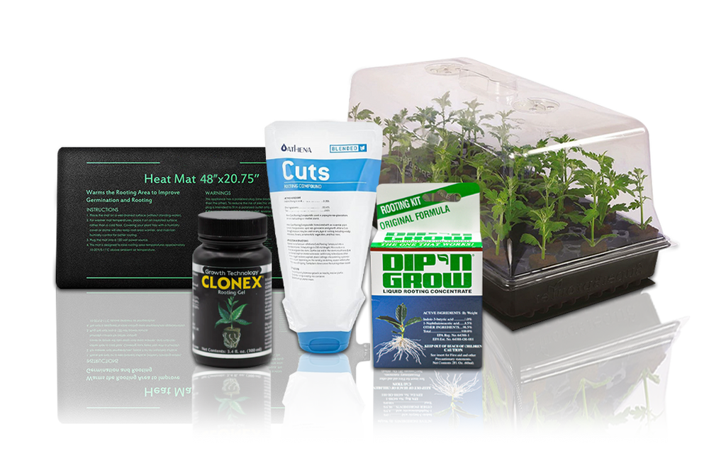 Encuentra los mejores enraizadores tratadores y lavadorde raíz o rota ...