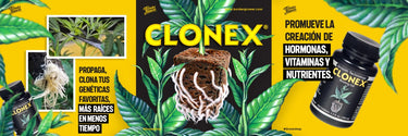 Clonex Gel 100mL | HDI - Hormona Enraízadora – Border Grower